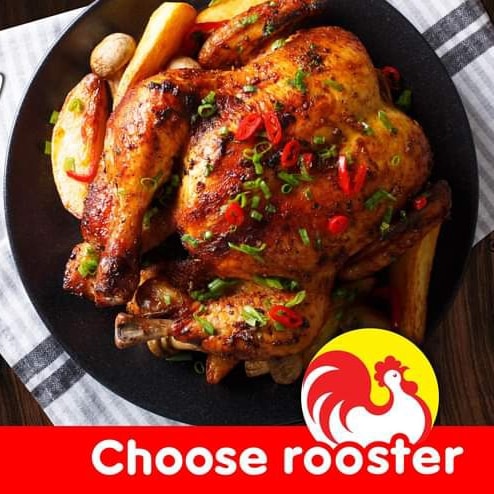 Rooster Chicken - Fiji | semantictrade